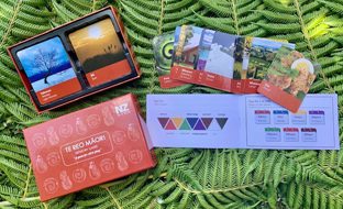 Te Reo Memory Game - Giftrapt